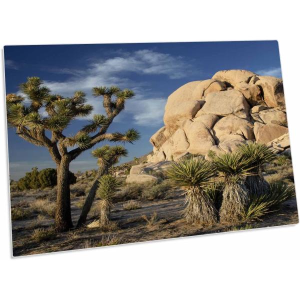 商品名3dRose USA, California. Joshua Tree, Joshua Tree National Park. - Desk Pad Place Mats (dpd-345907-1)ブランド：3dRose商品サイズ：...