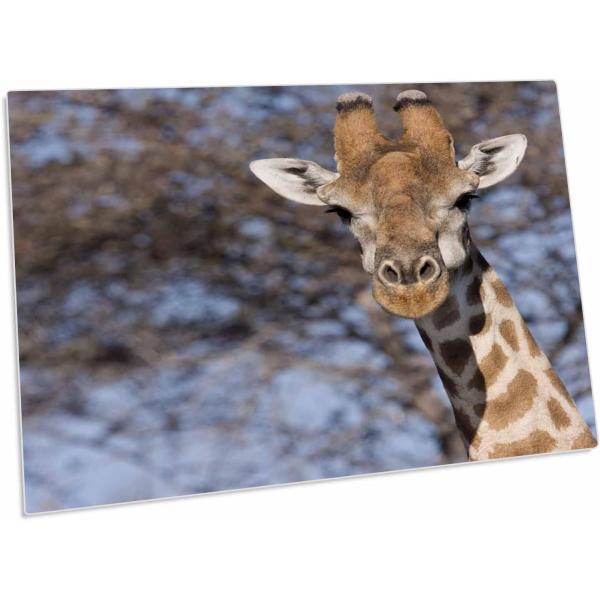 商品名3dRose Etosha National Park, Namibia. Cloe-up of a Giraffe. - Desk Pad Place Mats (dpd-225069-1)ブランド：3dRose商品サイズ：商品番号...
