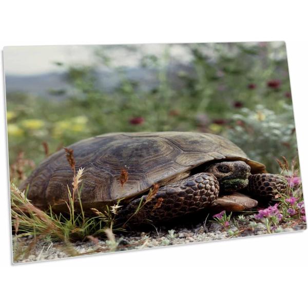 商品名3dRose USA, California, Joshua Tree National Park, Desert. - Desk Pad Place Mats (dpd-230066-1)ブランド：3dRose商品サイズ：商品番号：...