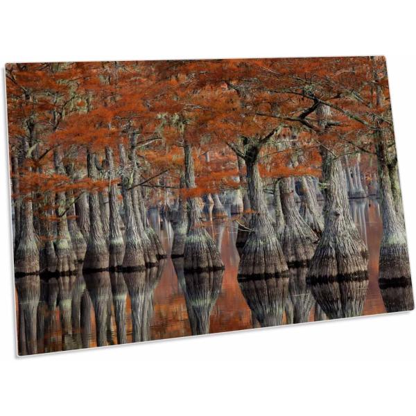 商品名3dRose Georgia, Fall Cypress Trees at George Smith State Park. - Desk Pad Place Mats (dpd-230568-1)ブランド：3dRose商品サイズ：商...
