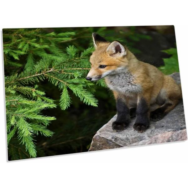商品名3dRose Killarney Provincial Park. Young red Fox on Rock. - Desk Pad Place Mats (dpd-329895-1)ブランド：3dRose商品サイズ：商品番号：dp...