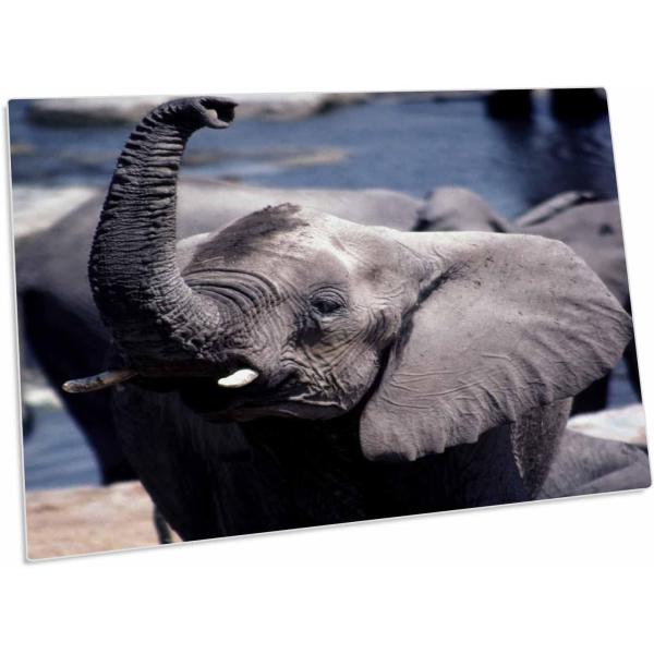 商品名3dRose Wild African Elephant in The Etosha National Park. - Desk Pad Place Mats (dpd-247206-1)ブランド：3dRose商品サイズ：商品番号：d...