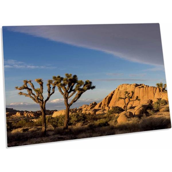 商品名3dRose Joshua Tree National Park, California, USA - Desk Pad Place Mats (dpd-229966-1)ブランド：3dRose商品サイズ：商品番号：dpd_22996...