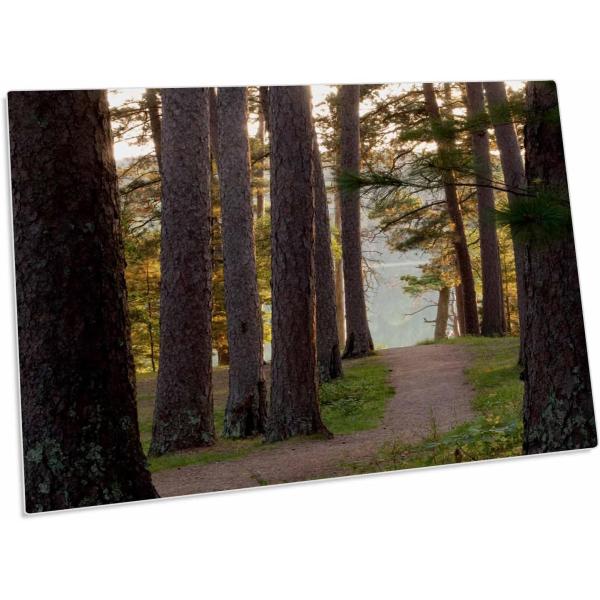 商品名3dRose Itasca State Park, Minnesota, USA, Preachers Grove - Desk Pad Place Mats (dpd-205290-1)ブランド：3dRose商品サイズ：商品番号：d...