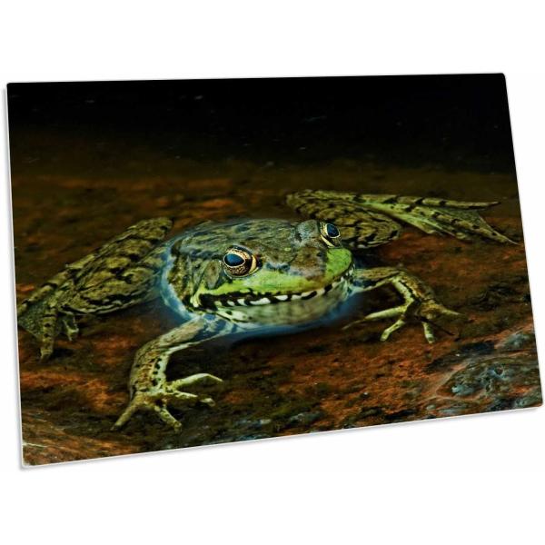 商品名3dRose Killarney Provincial Park. Green Frog at Edge of Pond - Desk Pad Place Mats (dpd-329891-1)ブランド：3dRose商品サイズ：商品番...