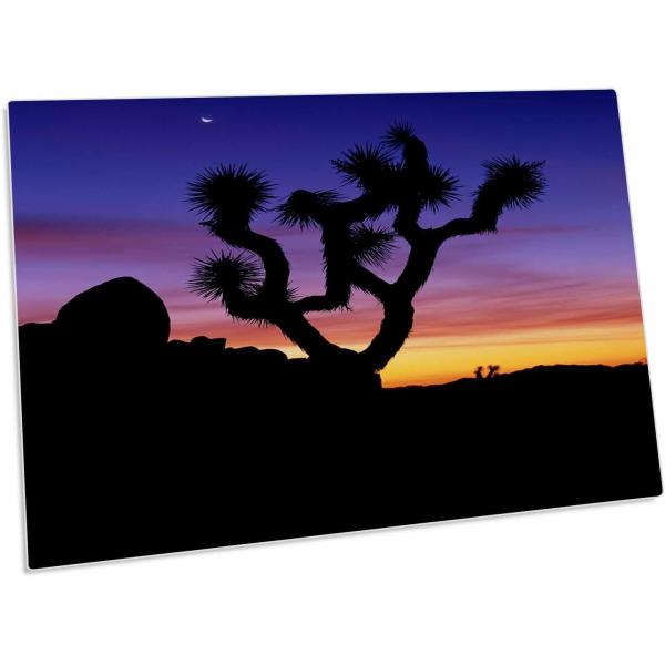 商品名3dRose Unique Yucca Tree in Joshua Tree National Park. - Desk Pad Place Mats (dpd-191092-1)ブランド：3dRose商品サイズ：Large商品番号...