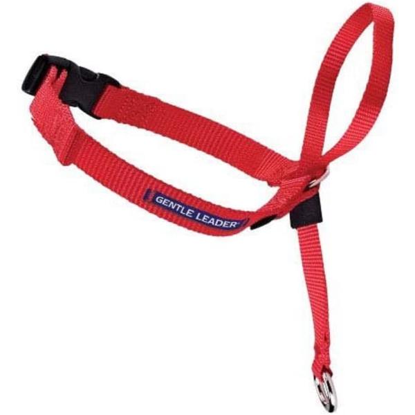 商品名ジェントルリーダー単品 赤PetSafe Gentle Leader Headcollar, No-Pull Dog Collar   Perfect for Leash &amp; Harness Training   Stops ...