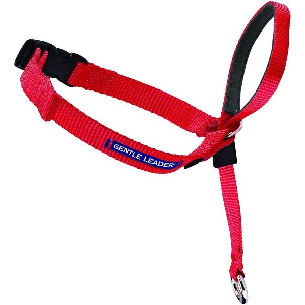 商品名ジェントルリーダー単品 赤PetSafe Gentle Leader Headcollar, No-Pull Dog Collar   Perfect for Leash &amp; Harness Training   Stops ...