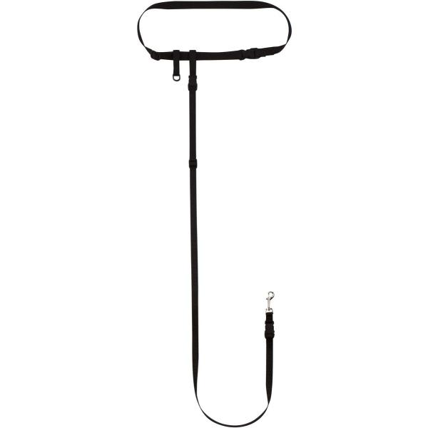 商品名The Buddy System, Small Dog by The Buddy SystemThe Buddy System Adjustable Hands Free Dog Leash, Hand-Free Leash for ...