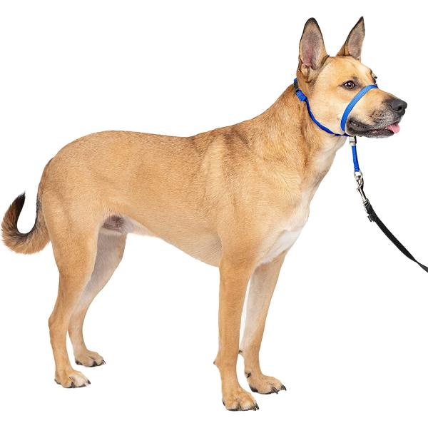 商品名PetSafe ペットセーフ ジェントルリーダー ヘッドカラー クイックリリース（M ロイヤルブルー）PetSafe Gentle Leader Headcollar, No-Pull Dog Collar   Perfect for...