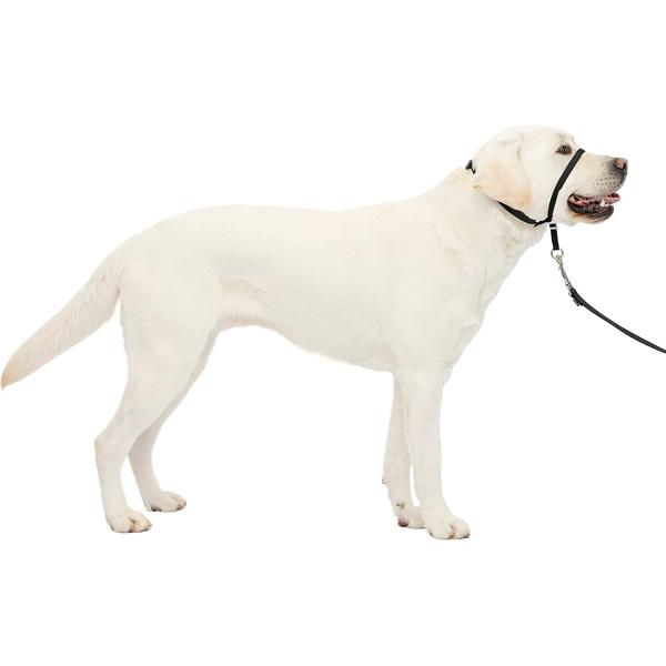 商品名ペットセーフ ジェントルリーダー ヘッドカラー クイックリリース/L/ブラックPetSafe Gentle Leader Headcollar, No-Pull Dog Collar, Large 60-130 Lb., Blackブ...