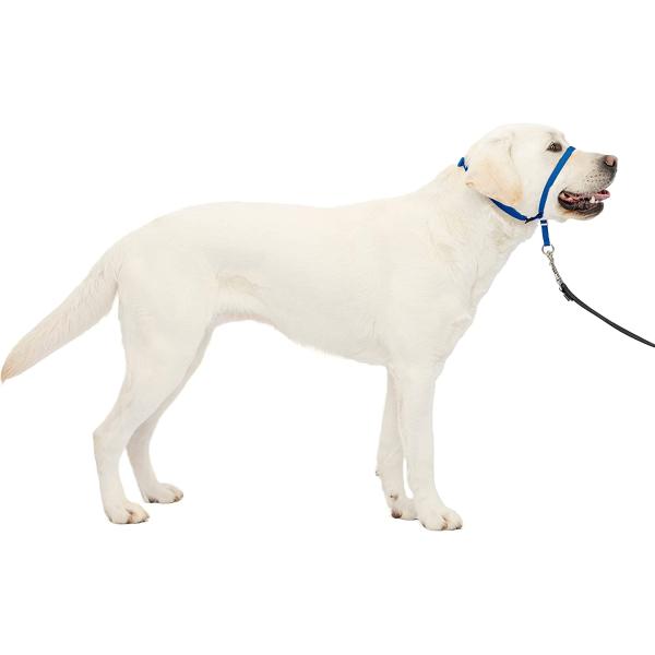 商品名PetSafe ペットセーフ ジェントルリーダー ヘッドカラー クイックリリース(L ロイヤルブルー)PetSafe Gentle Leader Headcollar, No-Pull Dog Collar   Perfect for...