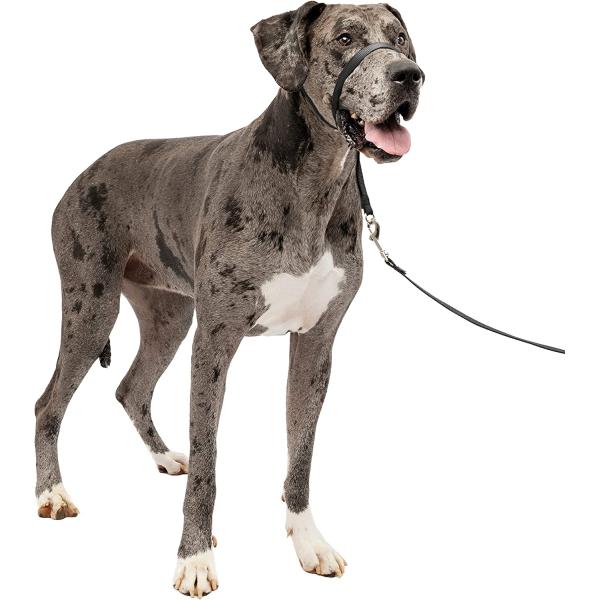 商品名PetSafe ペットセーフ ジェントルリーダー ヘッドカラー クイックリリース(XL ブラック)PetSafe Gentle Leader Headcollar, No-Pull Dog Collar   Perfect for L...