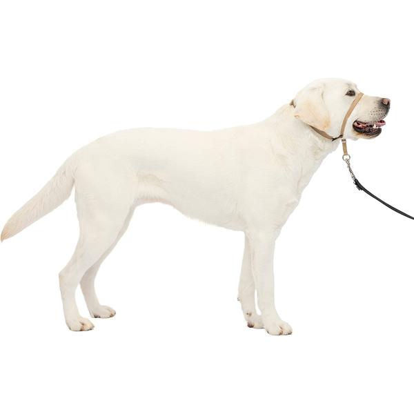 商品名PetSafe ペットセーフ ジェントルリーダー ヘッドカラー クイックリリース（L フォーン ベージュ）PetSafe Gentle Leader Headcollar, No-Pull Dog Collar   Perfect f...