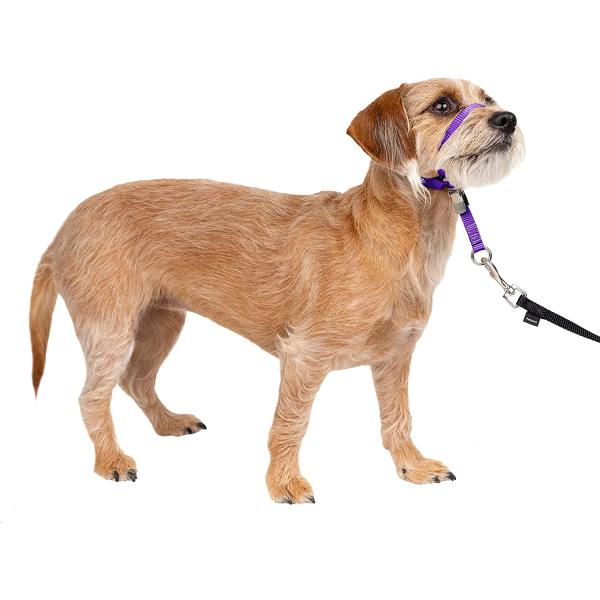 商品名PetSafe Gentle Leader Headcollar, No-Pull Dog Collar   Perfect for Leash &amp; Harness Training   Stops Pets from Pul...