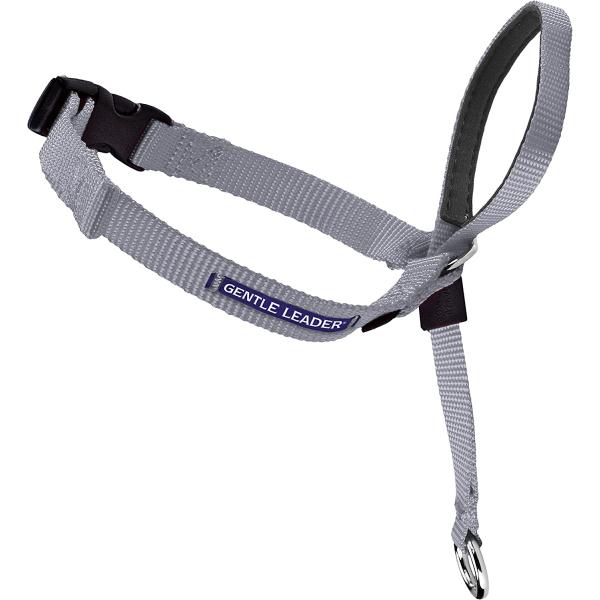 商品名PetSafe ペットセーフ ジェントルリーダー ヘッドカラー クイックリリース（M シルバー）PetSafe Gentle Leader Headcollar, No-Pull Dog Collar   Perfect for Le...