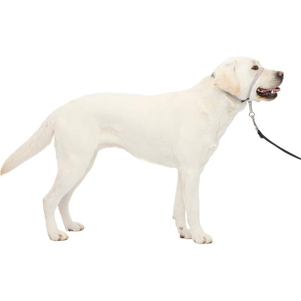 商品名ジェントルリーダー単品 シルバーPetSafe Gentle Leader Headcollar, No-Pull Dog Collar   Perfect for Leash &amp; Harness Training   Sto...