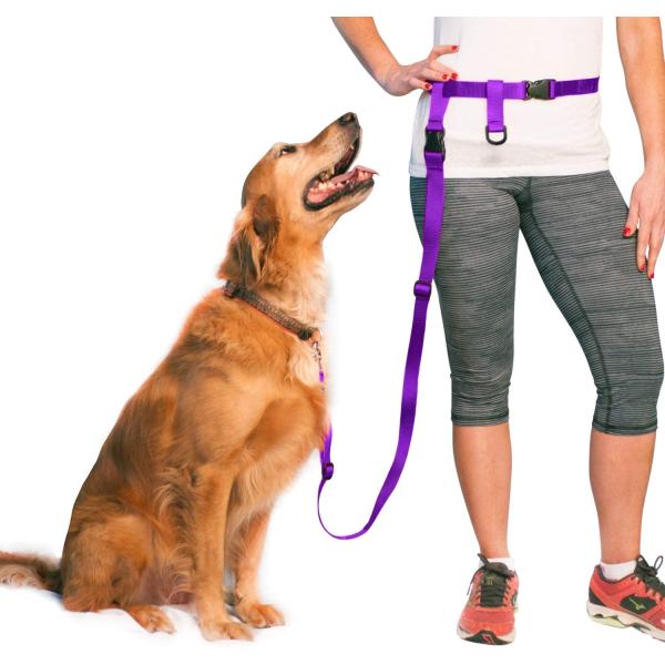 商品名The Buddy System Made in USA Adjustable Hands Free Leash, Great for Running, Regular Dog System, X-Large, Purple by T...