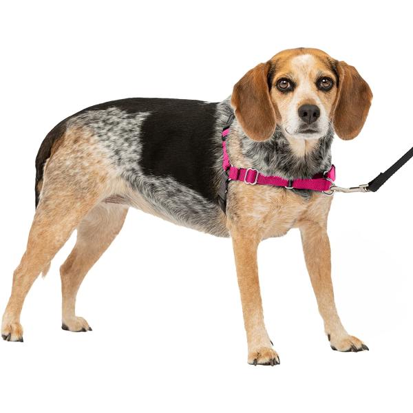 商品名PetSafe イージーウォークハーネス (SM, ラズベリー＆グレー)PetSafe Easy Walk Dog Harness, No Pull Dog Harness, Raspberry/Gray, Small/Mediumブ...
