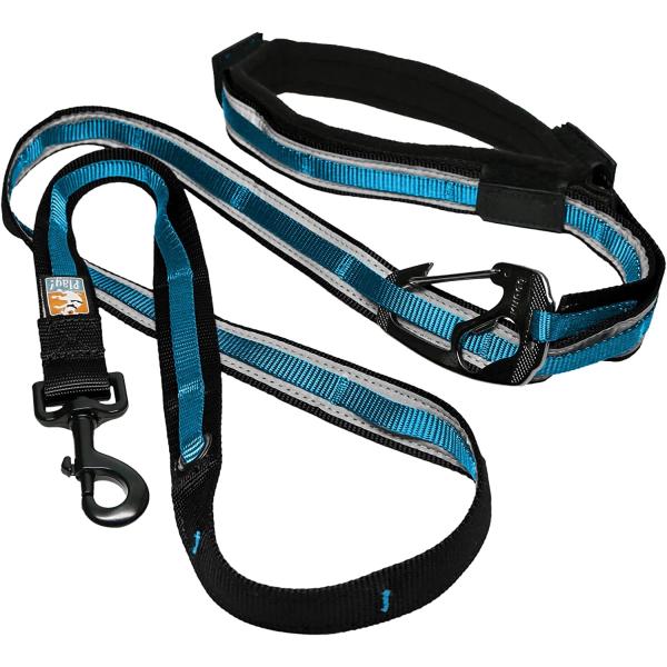 商品名Kurgo Reflective Quantum 6-in-1 Dog Leash, Coastal Blue by KurgoKurgo 6 in 1 Hands Free Dog Leash , Reflective Runnin...