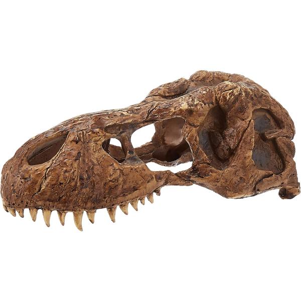 商品名エキソテラTレックススカルExo Terra T-Rex Skull Terrarium Decorブランド：Exo Terra商品サイズ：高さ：18.6 cm横幅：27.8 cm奥行：31.8 cm 商品番号：PT2859色：Mul...