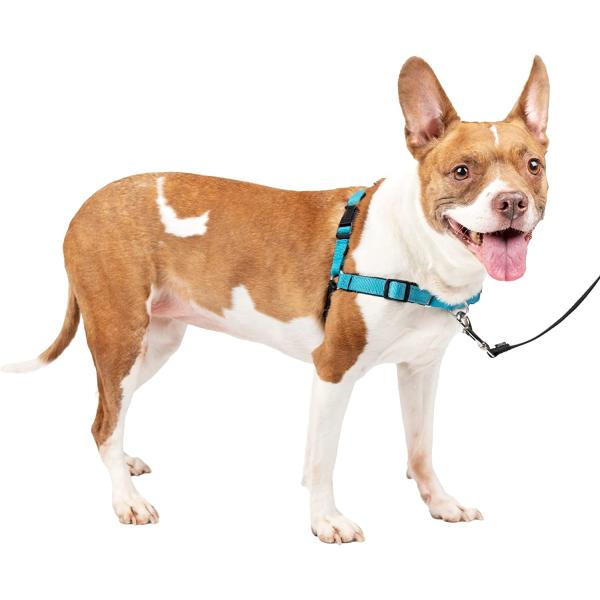 商品名[ ペットセーフ ] PetSafe 犬用 ハーネス デラックス イージーウォークハーネス 中型犬 M サイズ Deluxe Easy Walk Harness M EWH-D-HC-M-OCN オーシャンブルー/ブラック Ocean...