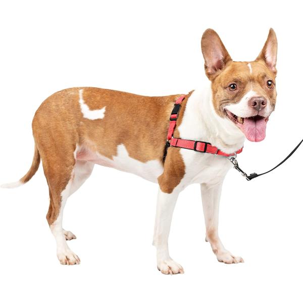 商品名[ ペットセーフ ] PetSafe 犬用 ハーネス デラックス イージーウォークハーネス 中型犬 M サイズ Deluxe Easy Walk Harness M EWH-D-HC-M-RSE ローズレッド/ブラック Rose Re...