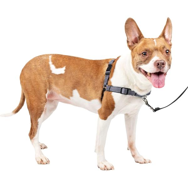 商品名[ ペットセーフ ] PetSafe 犬用 ハーネス デラックス イージーウォークハーネス 中型犬 M サイズ Deluxe Easy Walk Harness M EWH-D-HC-M-STL スチールシルバー/ブラック Steel...