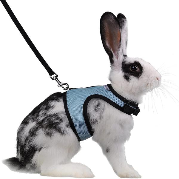商品名Niteangel Adjustable Soft Harness with Elastic Leash for Rabbits (L, Blue)ブランド：Niteangel商品サイズ：L高さ：4.1 cm横幅：6.1 cm奥行：1...