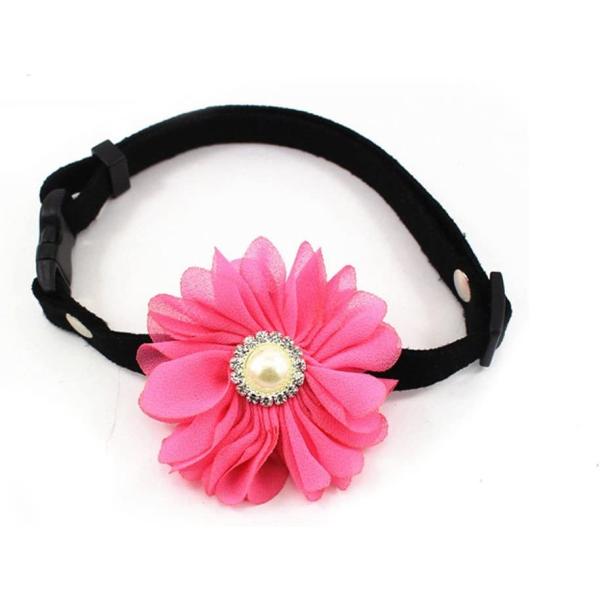 商品名PETFAVORITES Designer Rhinestones Daisy Flower Charm Suede Leather Pet Cat Dog Bow Tie Collar Necklace with Pearl for...