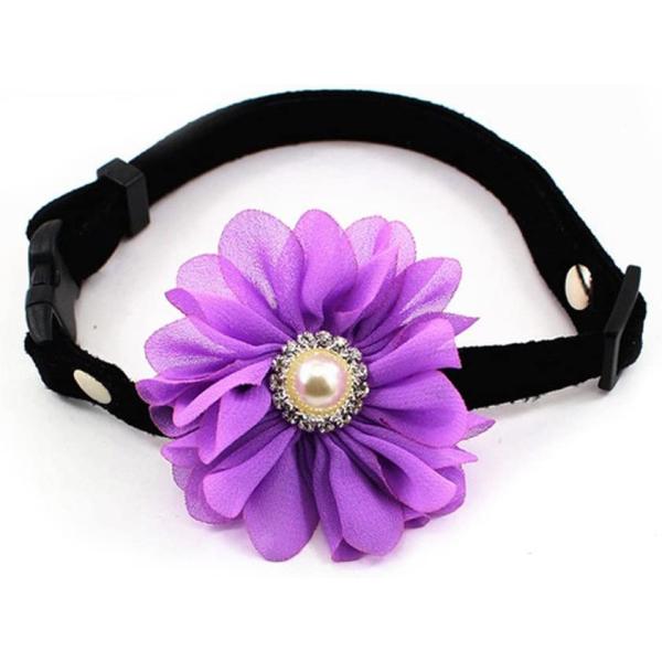 商品名PETFAVORITES Designer Rhinestones Daisy Flower Charm Suede Leather Pet Cat Dog Bow Tie Collar Necklace with Pearl for...