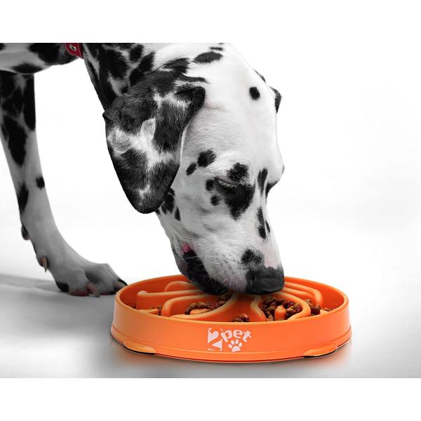 商品名2PET Slow Feed Dog Bowl Slowly Bowly Fun Interactive Dog Dish for Fast Eaters. Prevent Bloating. Fun to Use Dog Bowl....
