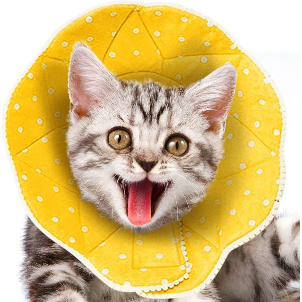 商品名SunGrow Cat Cone Collar Soft, Stop Licking E Collar for Recovery, Fits 7 to 9 Inches Neck Circumference, Post Surgery...