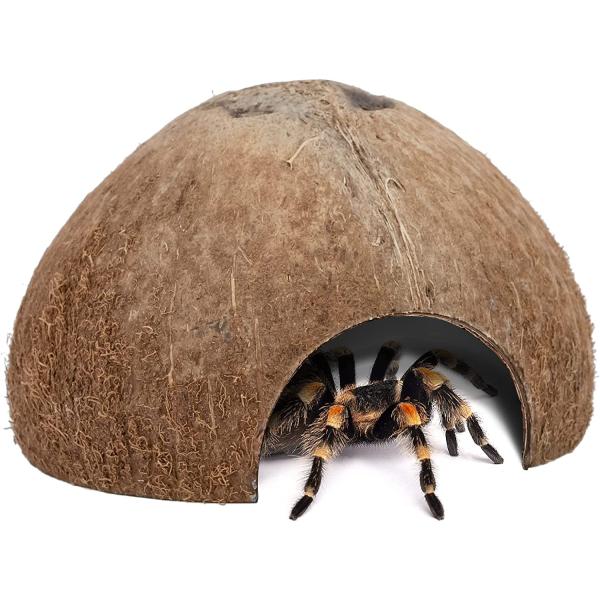 商品名Niteangel 天然ココナッツ爬虫類の隠れ家 トカゲ クモ 水族館魚 隠れ家 (自然な表面) 2個パックNiteangel 2 Pack Natural Coconut Reptile Hideouts, Lizard, Spid...