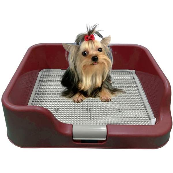 商品名PS KOREA(アプスコリア) 屋内犬用トイレトレイ - 保護壁付き 水漏れやこぼれ、事故なし - 足をドライに保ち、床を清潔に保ちます (ワイン)PS KOREA] Indoor Dog Potty Tray - with Pro...