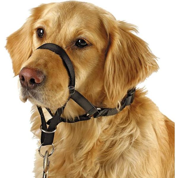 商品名Dog Head Collar, No Pull Training Tool for Dogs on Walks, Includes Free Training Guide, 5 (XL, Black)ブランド：BARKLESS商品サ...