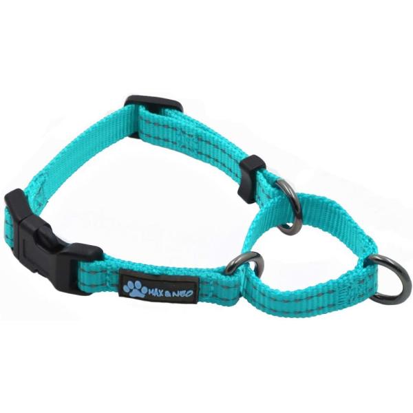 商品名Max and Neo Nylon Martingale Collar - We Donate a Collar to a Dog Rescue for Every Collar Sold (X-Small, Teal)ブランド：Ma...