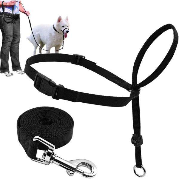 商品名Dog Head Collar, Adjustable and Padded, No-Pull Training Tool for Dogs on Walks, Includes 1 Dog Leash and Free Traini...