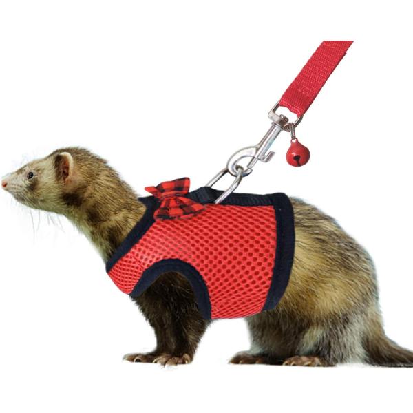 商品名RYPET Small Animal Harness and Leash - Soft Mesh Small Pet Harness with Safe Bell, No Pull Comfort Padded Vest for Sm...