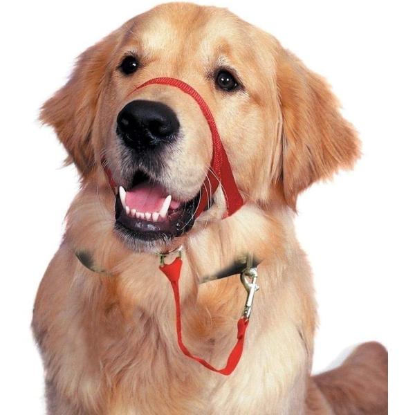 商品名Dog Head Collar, No Pull Training Tool for Dogs on Walks, Includes Free Training Guide, 5 (L, Red)ブランド：BARKLESS商品サイズ：...
