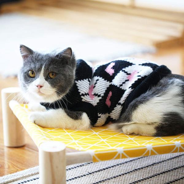 商品名Evursua Cat Clothes Sweater for Kitten Small Dogs, Cats Winter Knit Clothing Warm Soft and High Stretch, fit Pet Male...