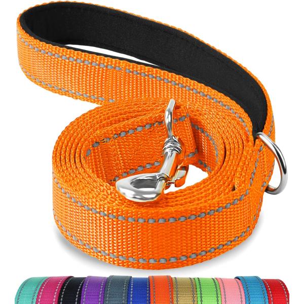 商品名Joytale Double-Sided Reflective Dog Leash, 6 FT/5FT/4 FT, Padded Handle Nylon Dogs Leashes for Walking, Training Lead...