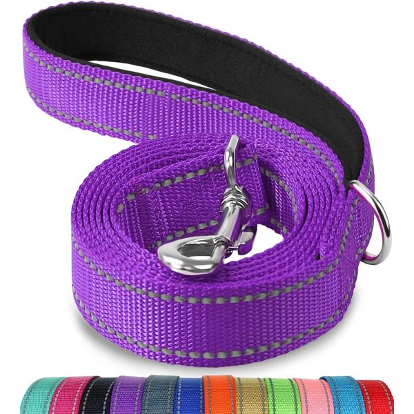 商品名Joytale Double-Sided Reflective Dog Leash, 6 FT/5FT/4 FT, Padded Handle Nylon Dogs Leashes for Walking, Training Lead...