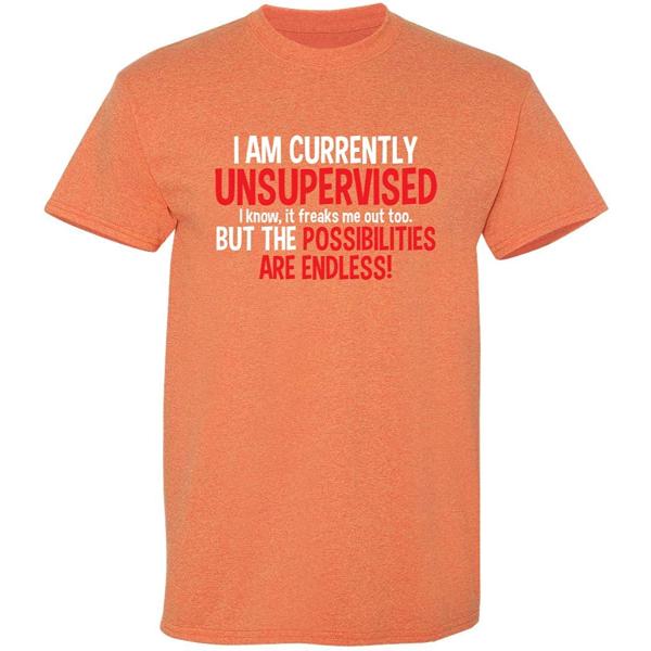 商品名現在非監督ノベルティグラフィック 皮肉 ファニーTシャツ US サイズ: Large カラー: オレンジCurrently Unsupervised Novelty Graphic Sarcastic Funny T Shirt L ...