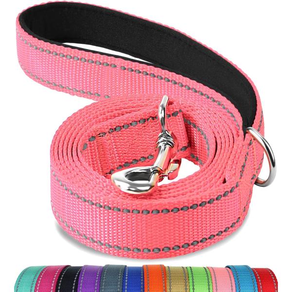 商品名Joytale Double-Sided Reflective Dog Leash, 6 FT/5FT/4 FT, Padded Handle Nylon Dogs Leashes for Walking, Training Lead...
