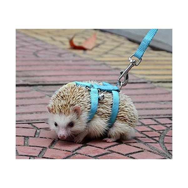 商品名調節可能 ハリネズミ ハーネス トレーニング プレイ用 トラクション ロープ 小動物 ペット アウトドア 遊び (ブルー)N-A Adjustable Hedgehog Harness for Training Playing Tra...