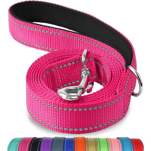 商品名Joytale Double-Sided Reflective Dog Leash, 6 FT/5FT/4 FT, Padded Handle Nylon Dogs Leashes for Walking, Training Lead...