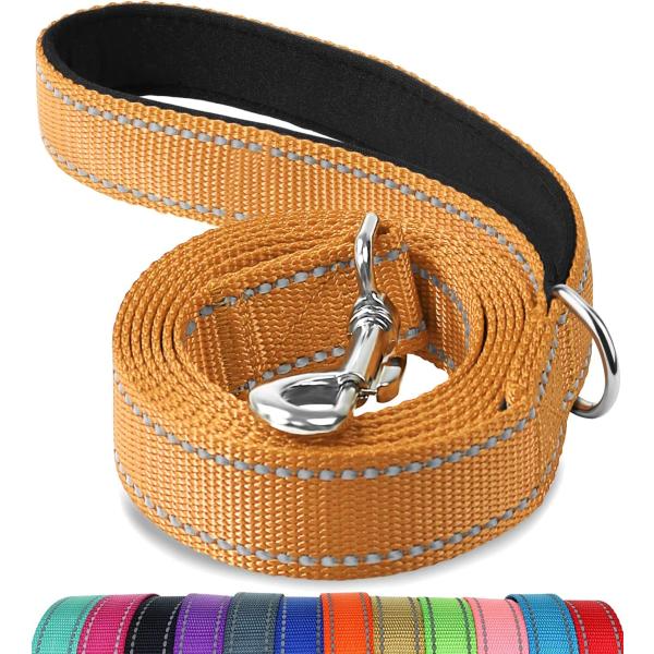 商品名Joytale Double-Sided Reflective Dog Leash, 6 FT/5FT/4 FT, Padded Handle Nylon Dogs Leashes for Walking, Training Lead...