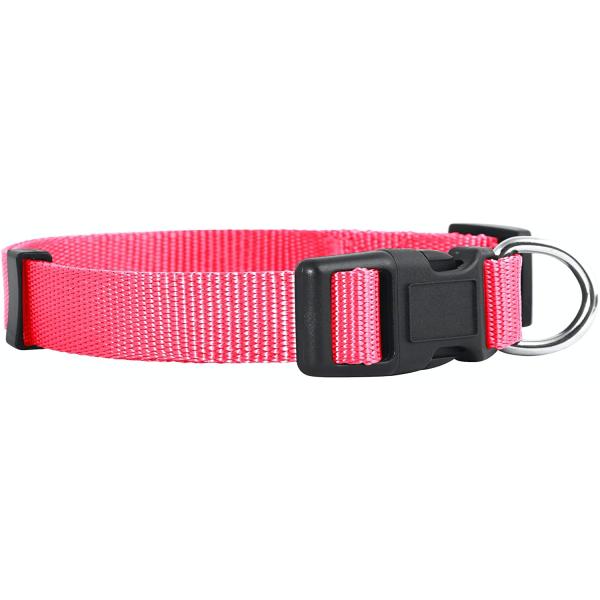 商品名Native Pup Basic Nylon Dog Collar, Adjustable for Small, Medium, Large pet and Puppies Accessories, Cute Colors for M...