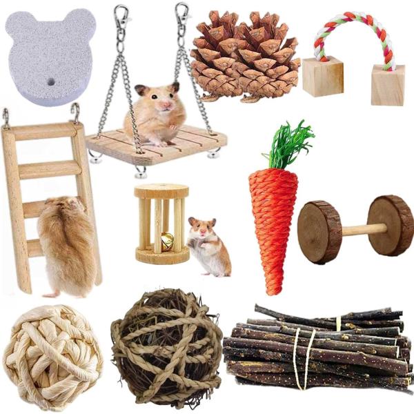 商品名21PCS Hamster Guinea Pig Chew Toys Set Natural Wooden mouse Exercise Toys and Accessories Teeth Care Molar Toys for R...